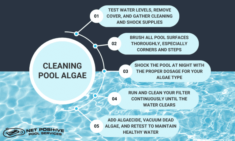 How to Get Rid of Algae in a Pool Quickly: A Complete Guide