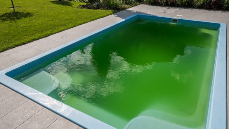 How to Get Rid of Algae in a Pool Quickly: A Complete Guide